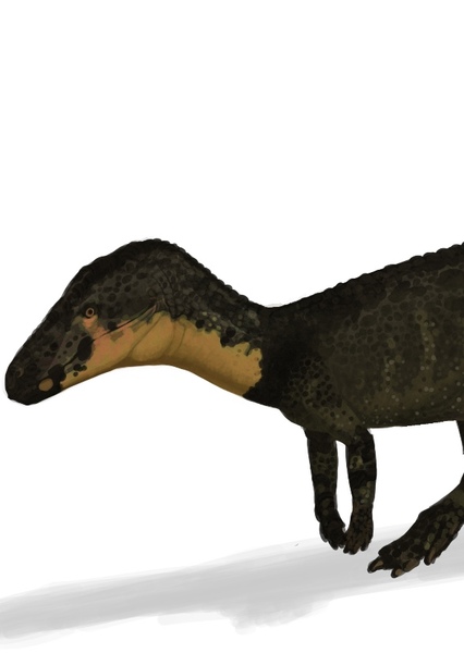 Poposaurus Fan Casting