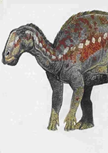 Protohadros Fan Casting