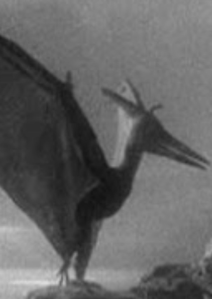 Photos of Pteranodon on myCast - Fan Casting Your Favorite Stories