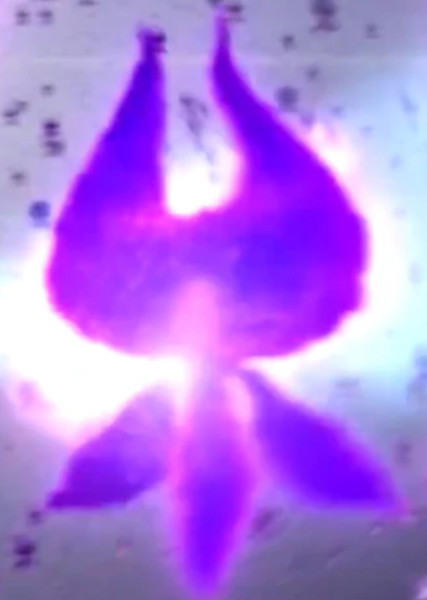 Purple Wisp Photo on myCast - Fan Casting Your Favorite Stories