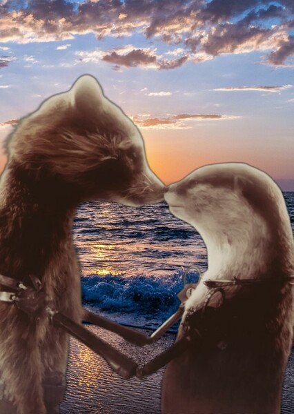 Randall the Raccoon & Jasmine the Otter Fan Casting