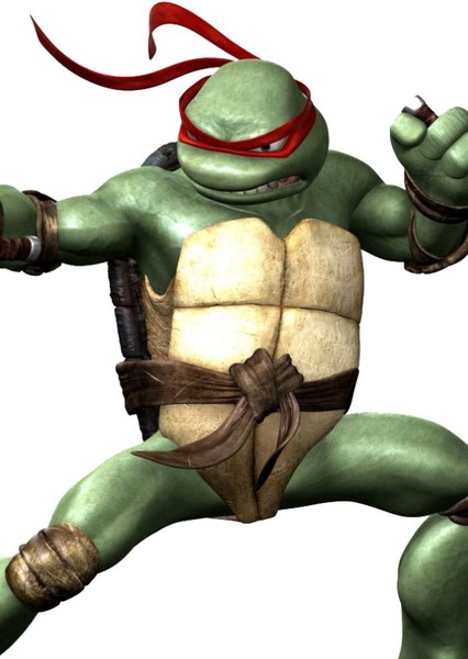 Raphael (TMNT 2007) Photo on myCast - Fan Casting Your Favorite Stories