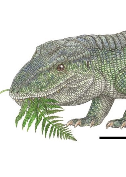 Revueltosaurus Fan Casting