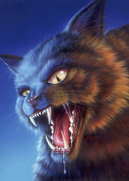 Rip the Cat Fan Casting