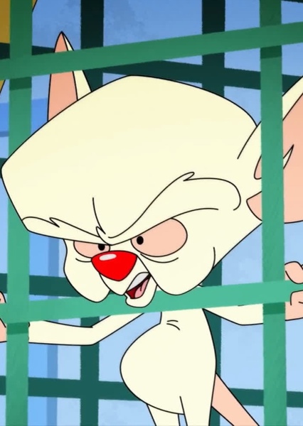 New Voices for Pinky and The Brain Fan Casting on myCast