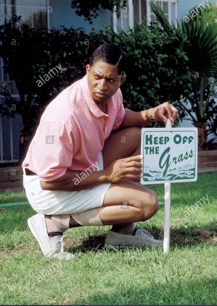 Ronn Riser Fan Casting
