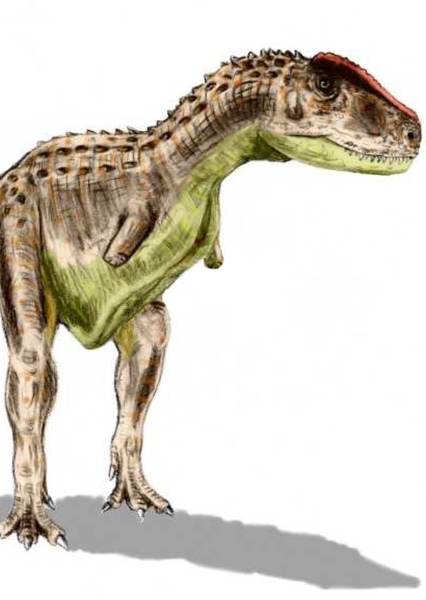 Rugops on myCast - Fan Casting Your Favorite Stories