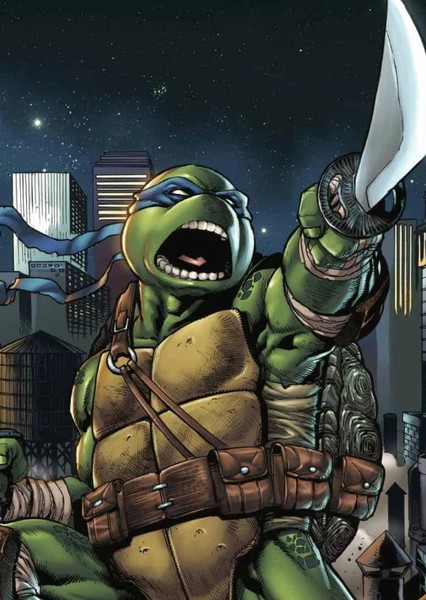 The Teenage Mutant Ninja Turtles Fan Casting on myCast