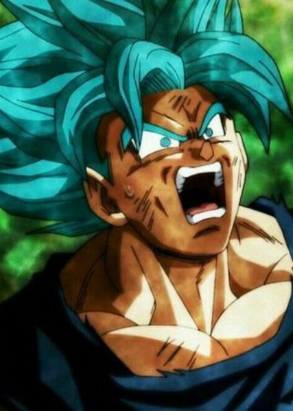 Sean Schemmel Fan Casting