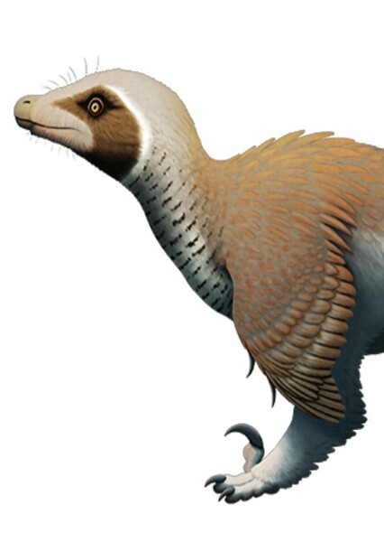 Shri (Dinosaur) Fan Casting