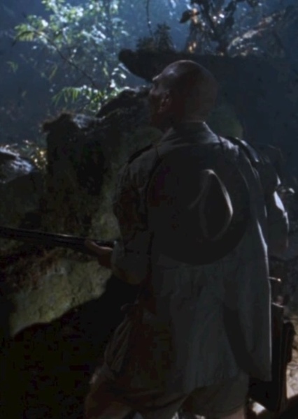 SKYWALKER, INSECT - FLY WINGS BUZZING Fan Casting