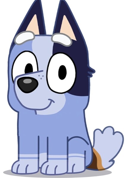 Coco (Bluey) Fan Casting