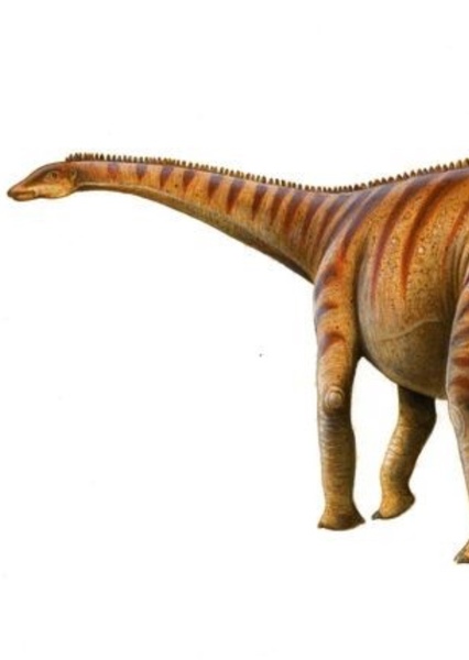 Spinophorosaurus Fan Casting