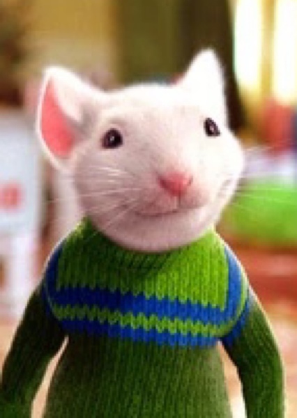 Stuart Little Actor