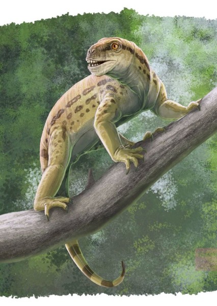 Suminia Photo on myCast - Fan Casting Your Favorite Stories