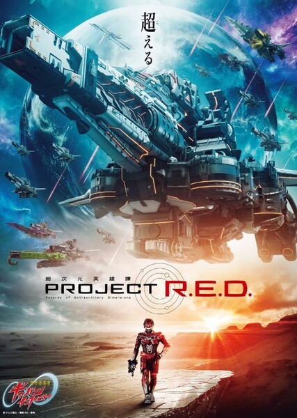 The Cult of the Real Housewife Fan Casting