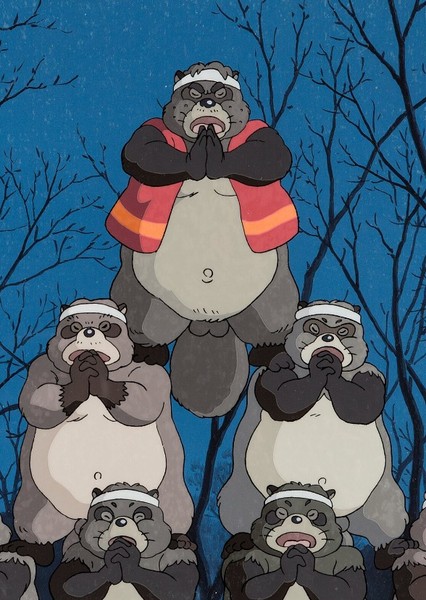 Fan Casting Tanuki as Best Studio Ghibli Character in Best & Worst of ...