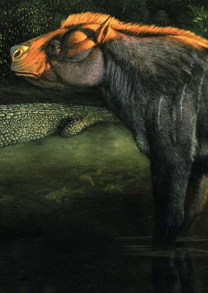 Telmatherium Fan Casting