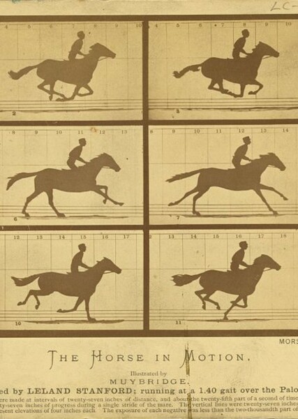 The Horse in Motion Fan Casting