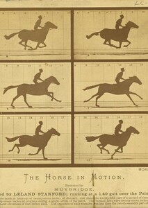 Photos of The Horse in Motion on myCast - Fan Casting Your Favorite Stories