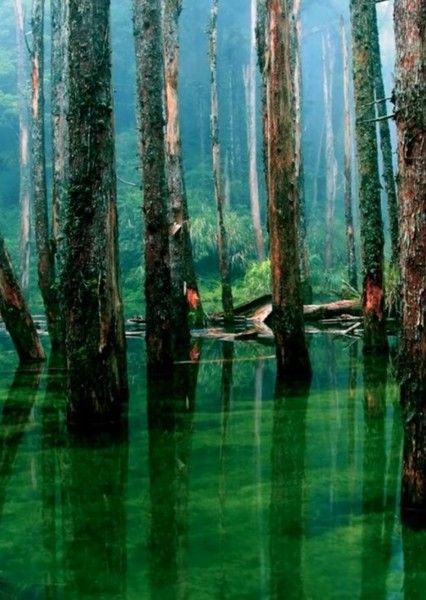 The Hunger Games - Season 4 Episode 21: The 92nd Annual Hunger Games ...