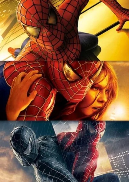 The Sam Rami Spider Man Trilogy Fan Casting