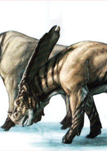 Tree-tops Fan Casting