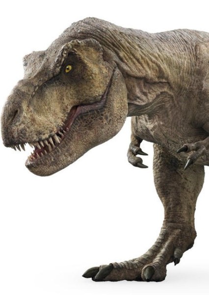 Fan Casting Tyrannosaurus Rex (Jurassic Park) as Rexy in Jurassic World ...