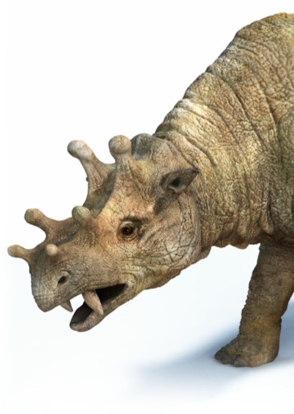 Uintatherium on myCast - Fan Casting Your Favorite Stories