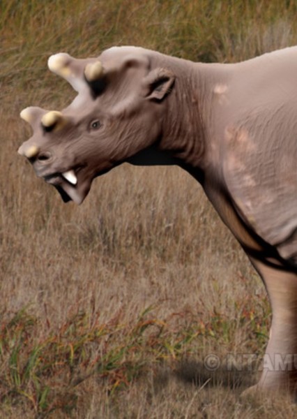 Uintatherium Photo on myCast - Fan Casting Your Favorite Stories