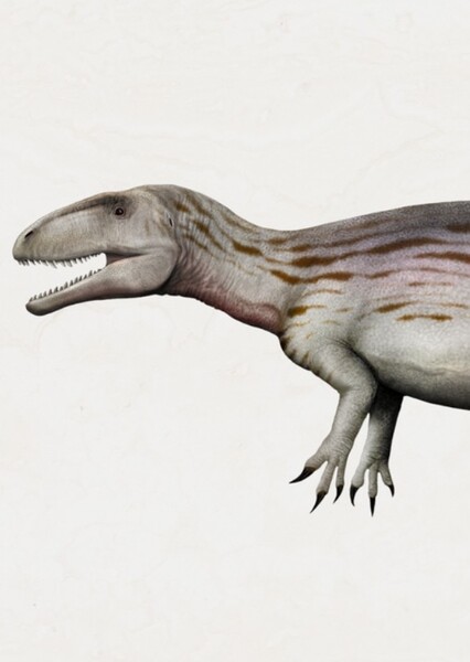 Ulughbegsaurus Fan Casting