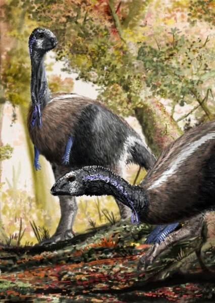 Valdosaurus Fan Casting