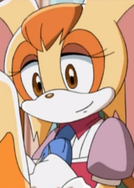 Vanilla The Rabbit Sonic X Photo On Mycast Fan Casting Your