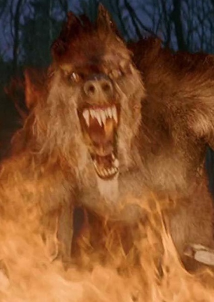 Velkan Valerious Photo on myCast - Fan Casting Your Favorite Stories