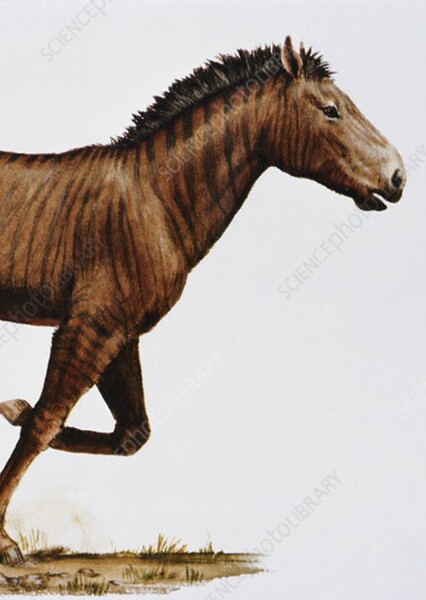Fan Casting Western Horse as La Brea Tar Pits in Prehistoric Wildlife ...