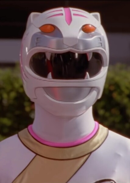 Wild Force White Tiger Ranger Fan Casting