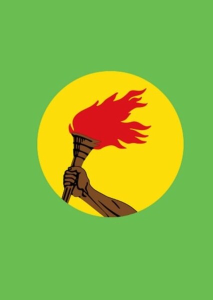 Zaire Fan Casting