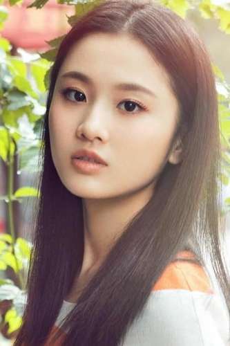 Zhang Huiwen Fan Casting