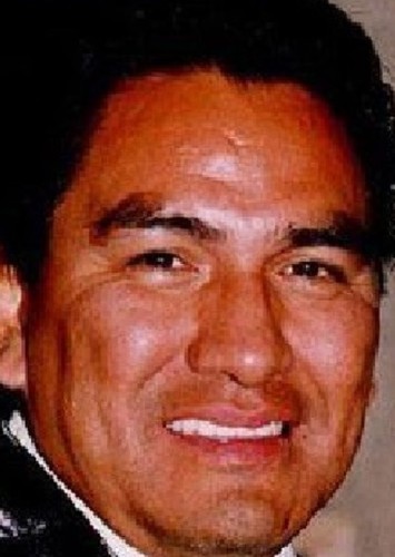 Dances with Wolves Fan Casting on myCast