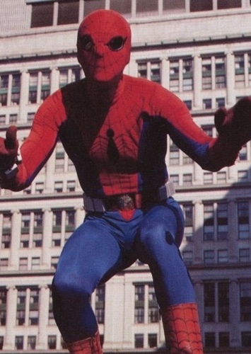 ‘77 Spider Man Fan Casting for Spider Man: Everyone’s Home | myCast ...