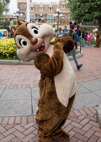 Dale Fan Casting for A Day at Walt Disney World | myCast - Fan Casting ...