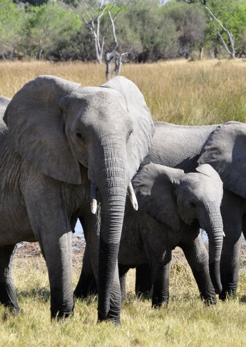 Nature (TV Program) Fan Casting on myCast