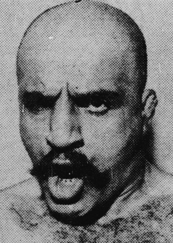 WWF Survivor Series (1934) Fan Casting on myCast