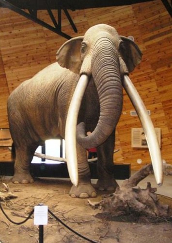 Anancus Fan Casting for Prehistory | myCast - Fan Casting Your Favorite ...