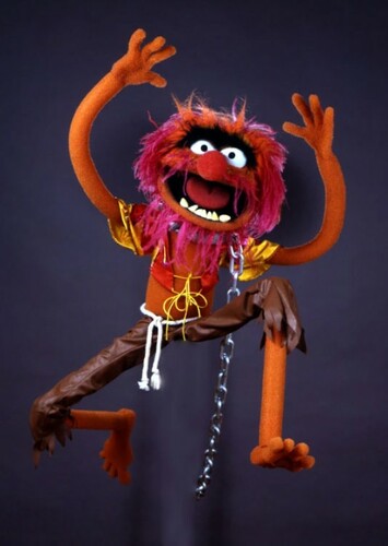 Animal Fan Casting for MUPPET SHOW (human version) - 2024 - 2025 - TV ...