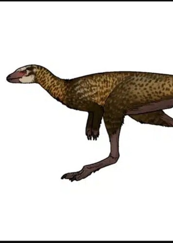 Archaeocursor Fan Casting for Prehistory | myCast - Fan Casting Your ...