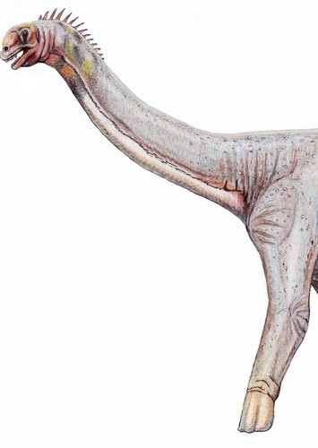 Astrodon Fan Casting for Prehistory | myCast - Fan Casting Your ...