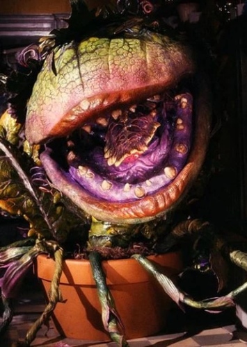 Audrey II Fan Casting for Little Shop of Horrors (1996) | myCast - Fan ...