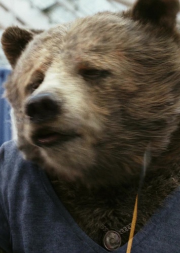 Baloo Fan Casting for Chip 'n' Dale: Rescue Rangers (Frat Pack ...