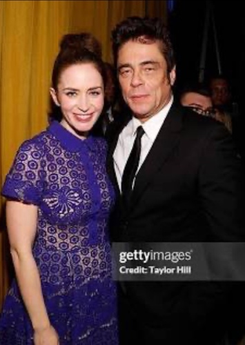 Benicio Del Toro and Emily Blunt Fan Casting for Same actors, different ...